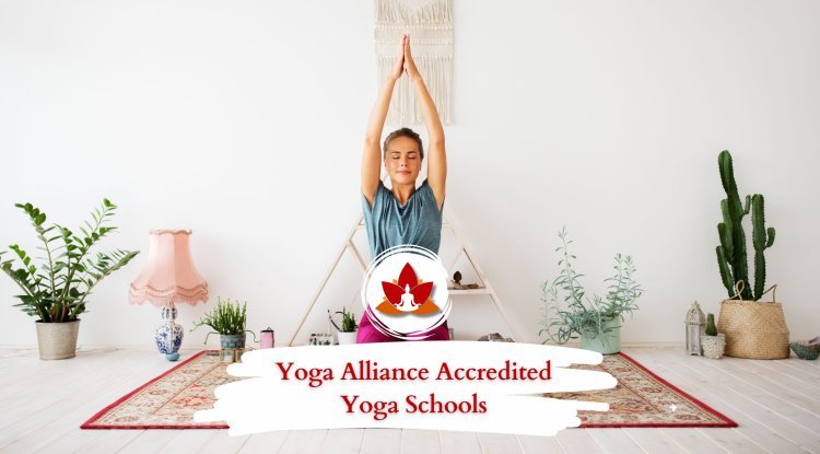 Best Yoga Alliance Certified Yoga Schools (2026-2027 Guide)