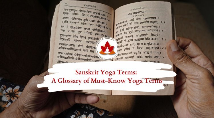 Sanskrit Yoga Glossary: Key Terms for Every Yoga Practitioner