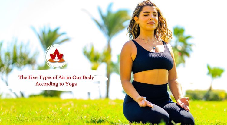 Understanding the Five Pranas: The Life Forces in Yoga