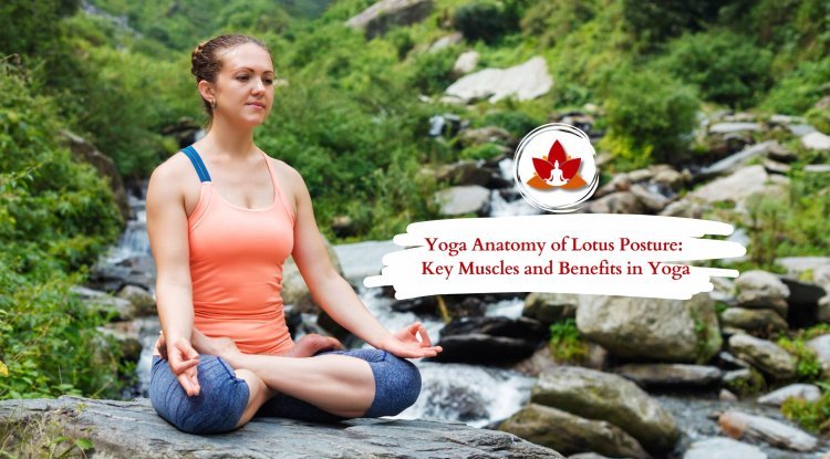 The Yoga Anatomy of the Lotus Pose: Key Insights into Alignment and ...