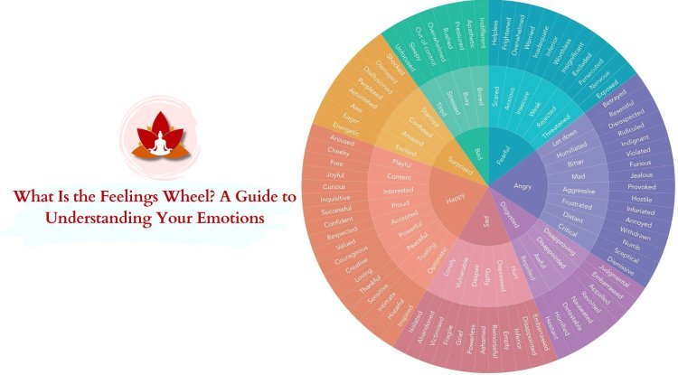 What Is the Feelings Wheel? A Guide to Understanding Your Emotions