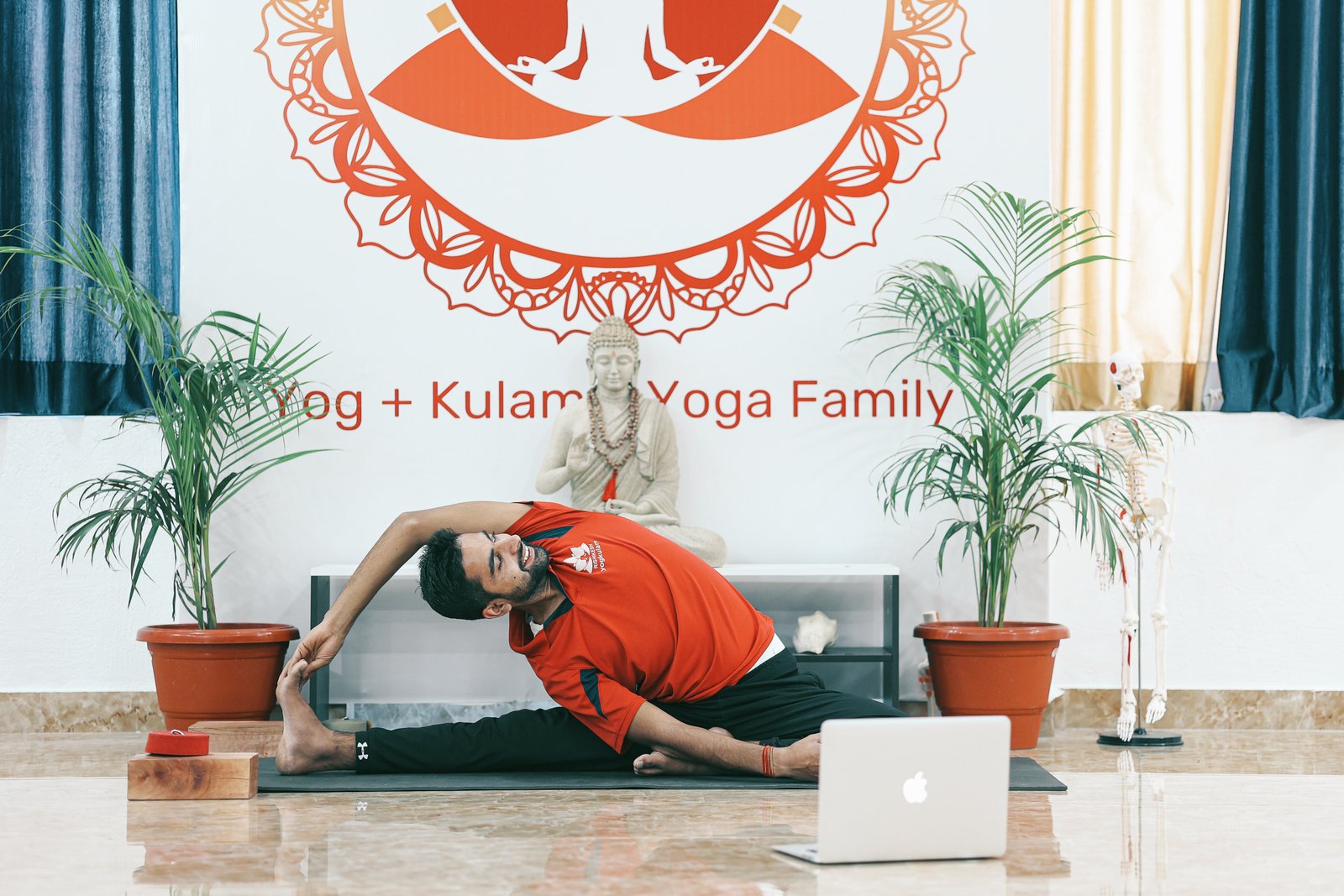 Daily Online Yoga Classes